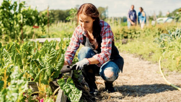 Agribusiness, farming, agriculture | Westpac