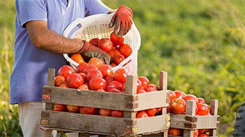 Agribusiness products | Westpac