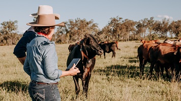 Agribusiness, farming, agriculture | Westpac