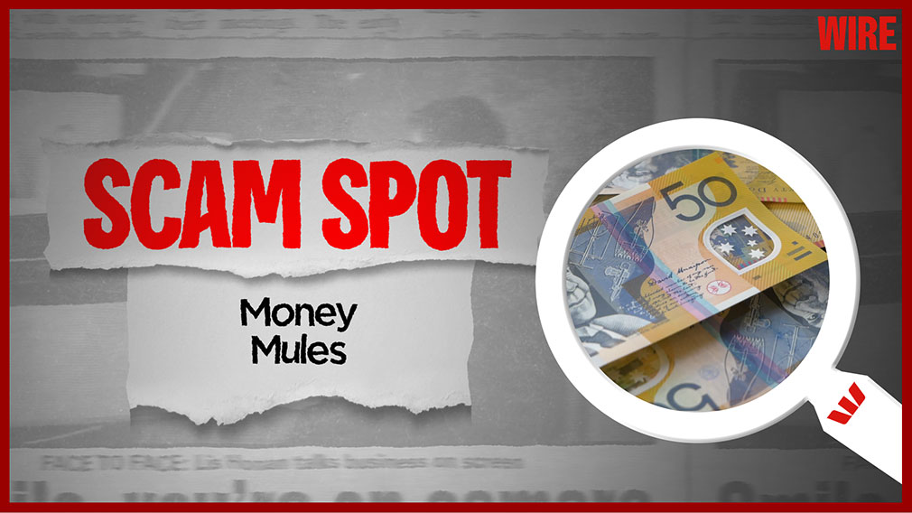 SCAM SPOT: How to avoid the money mule trap | Westpac